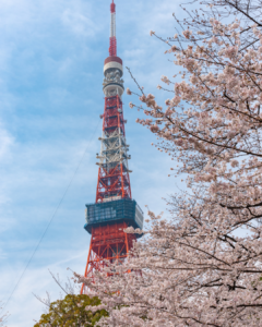 Why Japan’s School Year Starts in Spring – TIS FAMILY COMMUNITY